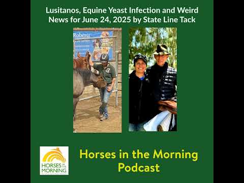 Lusitanos, Equine Yeast Infection and Weird News for June 24, 2025 by State Line Tack