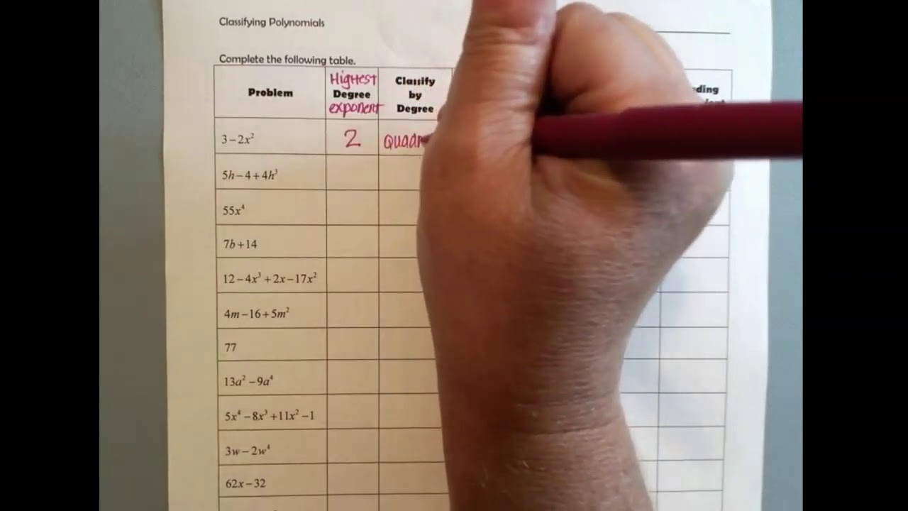 Classifying Polynomials Worksheet Instructions