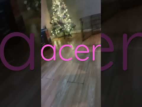 Acer logo