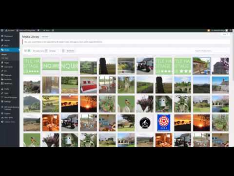 How to add a caption to an image
