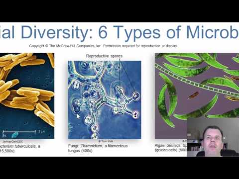 Chapter 1 Introduction to Microbiology
