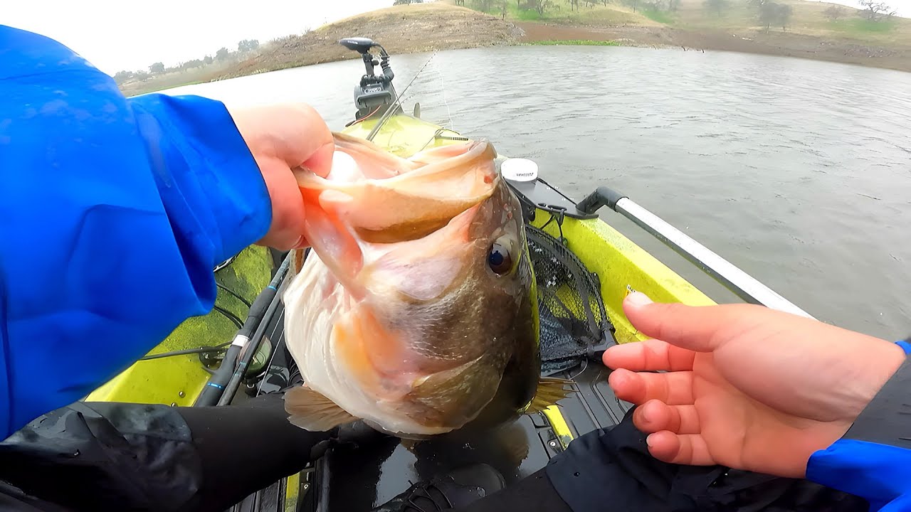 Big Bass Compilation