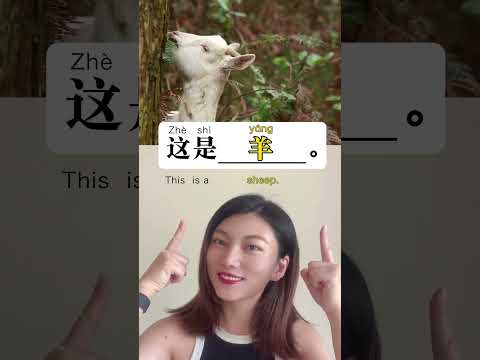 How do you say these animals in Chinese? #hsk #chinesewords #inchinese #animals