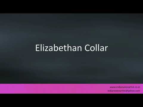 Pronunciation of the word(s) "Elizabethan Collar".