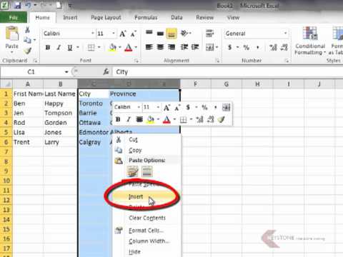 KIT Quick Hit- Quickly Insert Columns and Rows in Excel