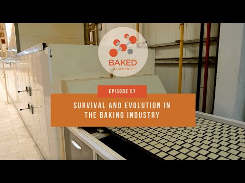 Survival and Evolution in the Baking Industry | Episode 57 | BAKED in Science | BAKERpedia