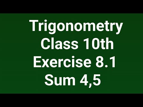 trigonometry class 10th exercise 8.1 sum 4,5