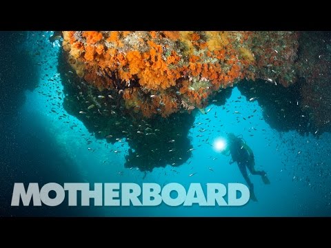 The Search for New Antibiotics Under the Sea