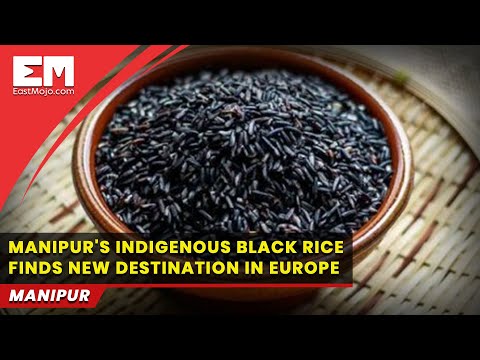 Black Rice - Wholesale Price & Mandi Rate for Forbidden Rice in India