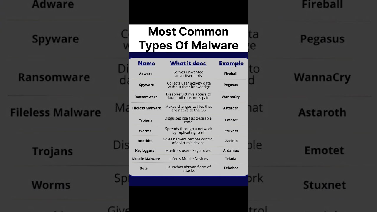 Most Common Types Of Malware