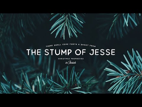 A Shoot from the Stump of Jesse