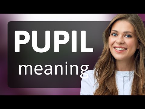 Pupil • PUPIL meaning