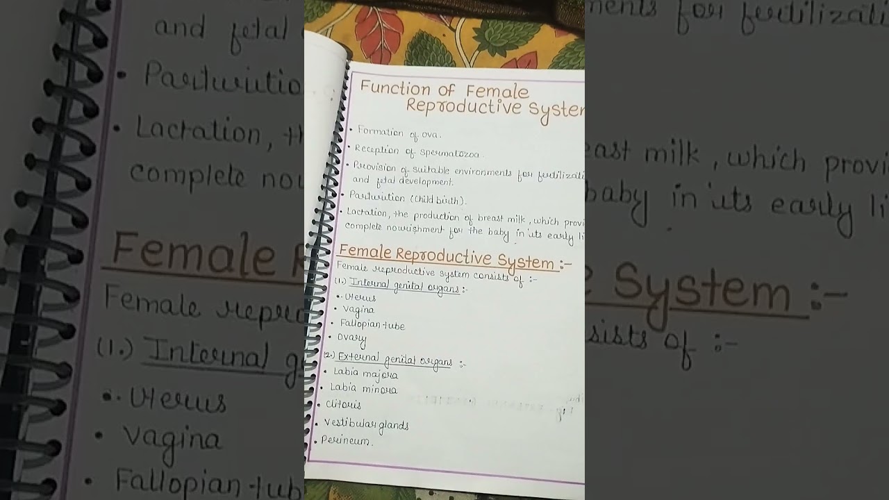 assignment on female reproductive system // #assignment