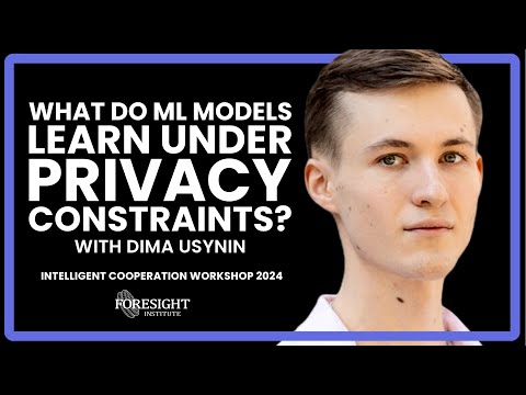 Dima Usynin | What do ML Models Learn Under Privacy Constraints? @ IC Workshop 2024