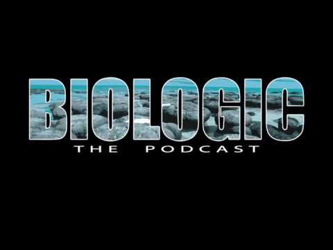 Episode 26 - The Phanerozoic Eon I: the Paleozoic Era (Original)