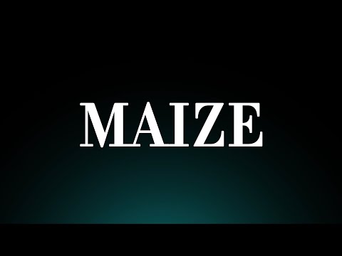 Learn How to Pronounce 'Maize'! Correctly (Flower Pronunciation)