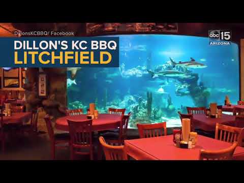 Dine with live animals in the Valley - ABC15 Digital