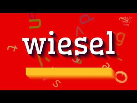 WIESEL - How to pronounce Wiesel?