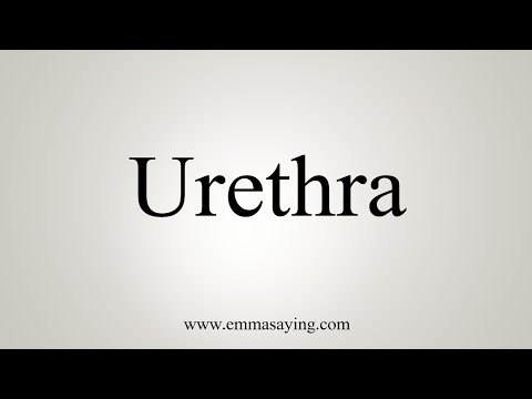 How To Say Urethra