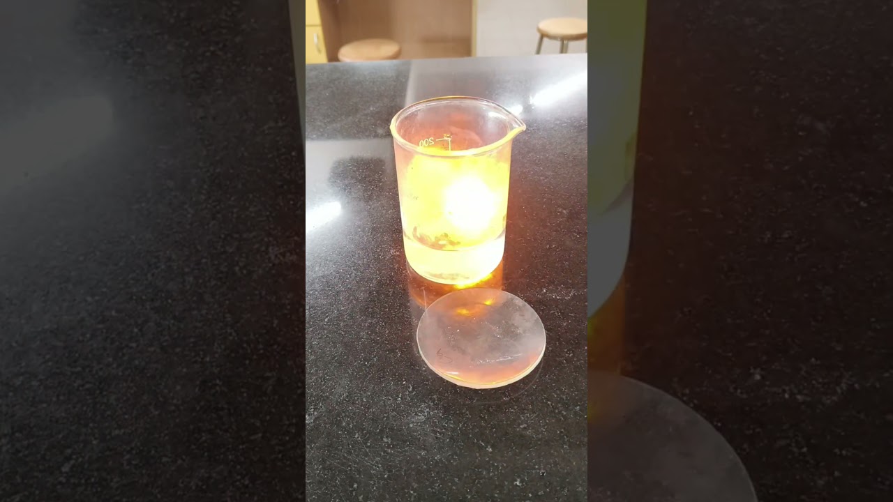 Sodium + Water = Explosion! 🔥 | Class 10 Science Practical
