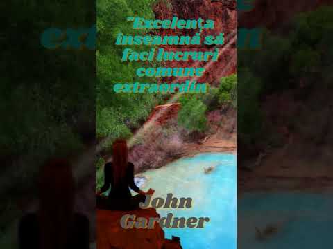 Citat John Gardner #shorts #citate #citatecelebre