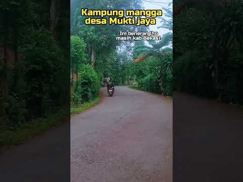Kampung Plosok kabupaten bekasi #bekasi #cikarang