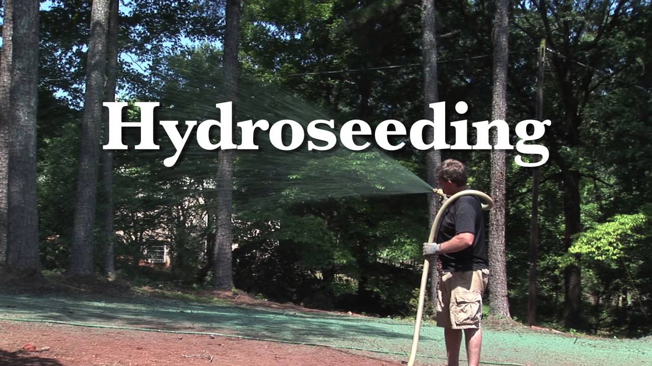 GeorgiaYardBuilders.com HYDROSEEDING BEFORE and AFTER