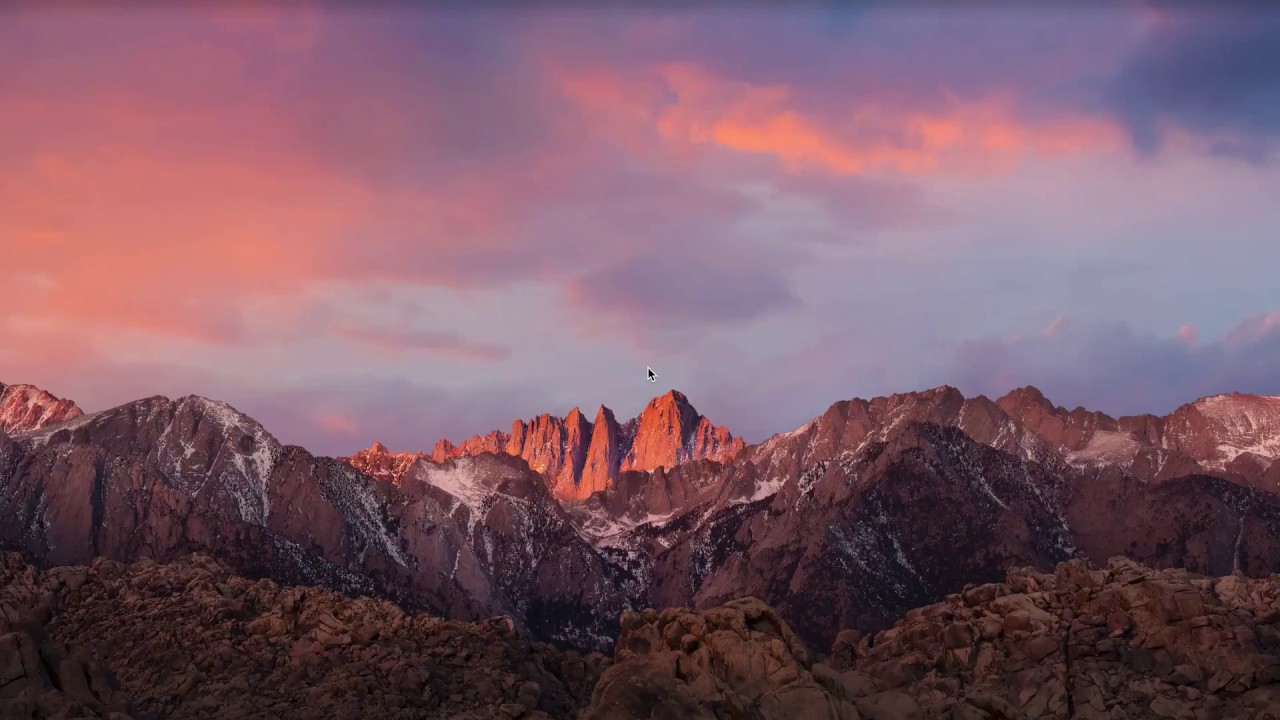 Hashing with Shake Algorithm Variable Length Digests using Python - Cryptography with Python