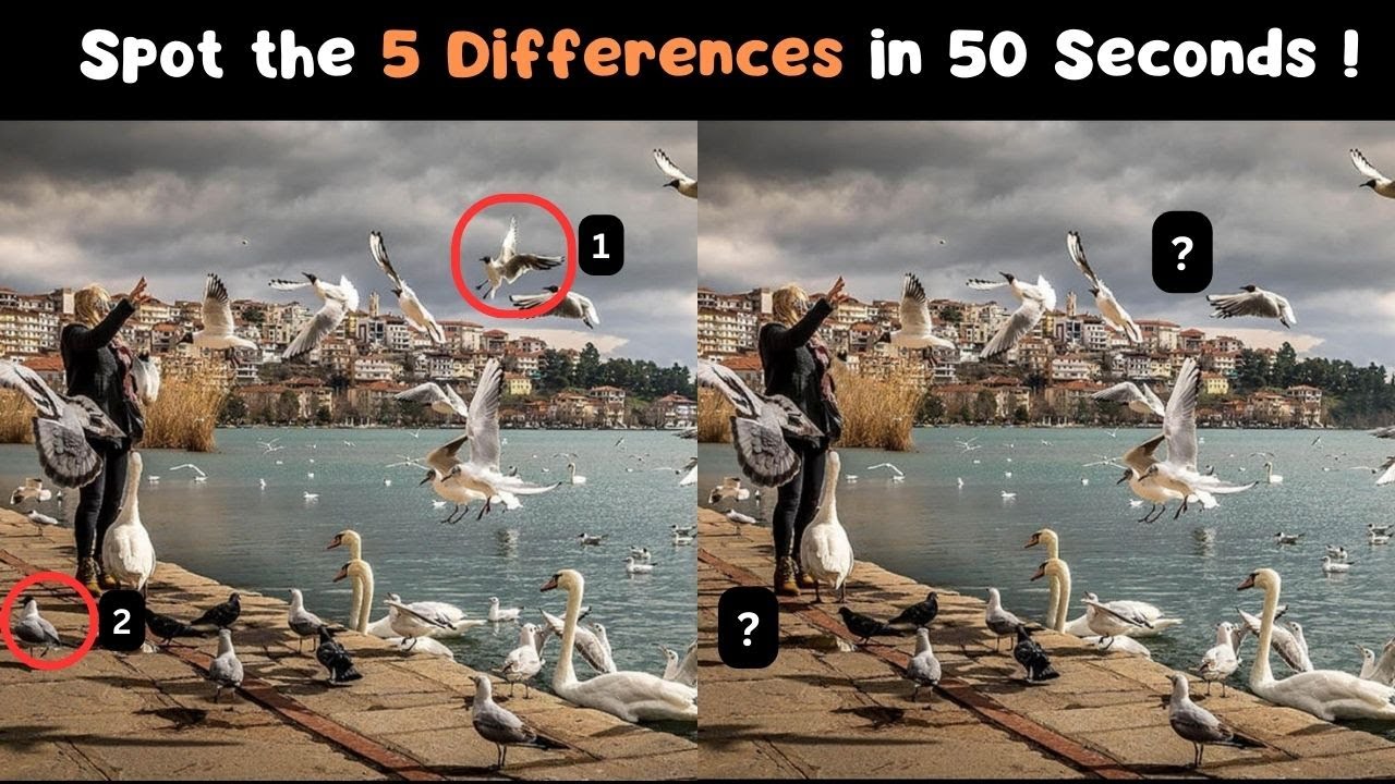 Test Your Eyes! Spot the 5 Differences in 20 Seconds