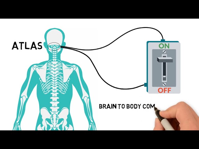 Dombroski Stanley Upper Cervical Awareness