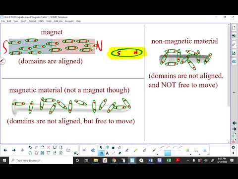 Magnetic Domains