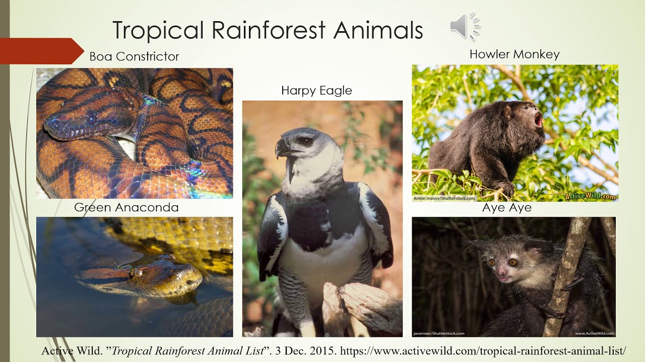 Biomes PPT-Teacher Example