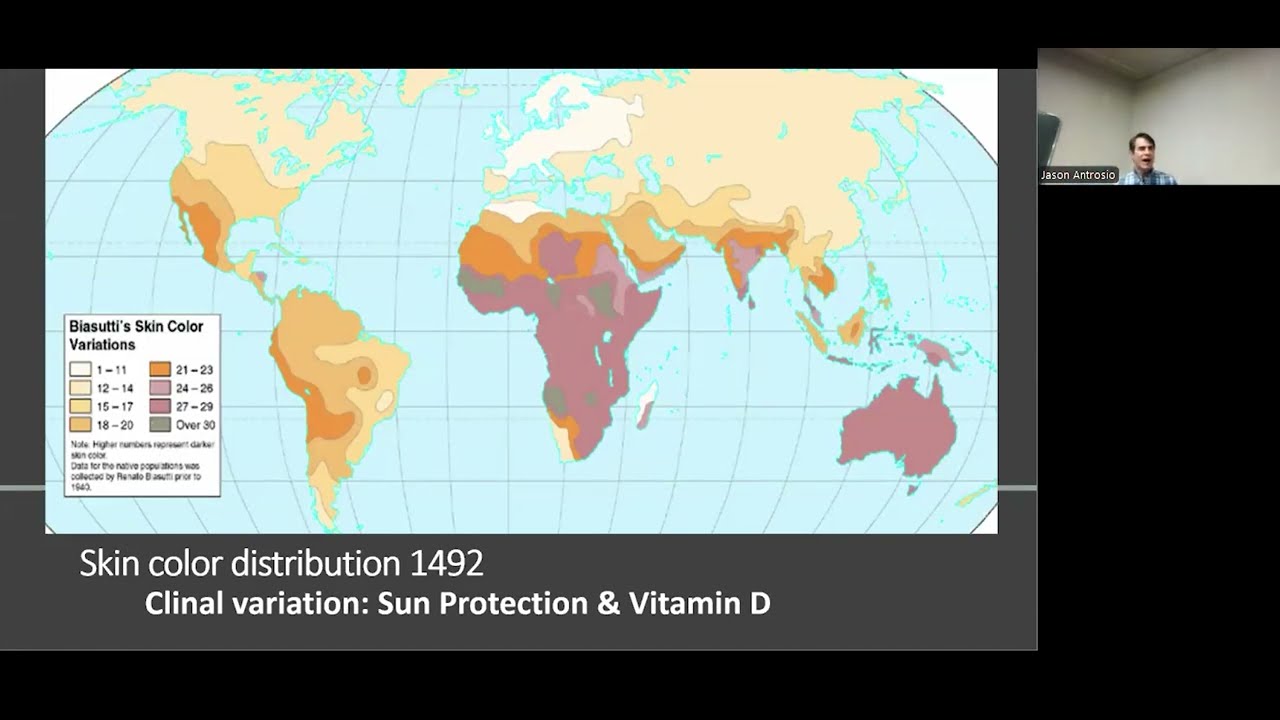 Why Does Structural Racism Persist? (Anthropology 2025)