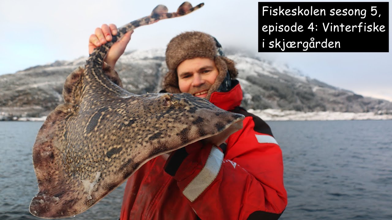 Vinterfiske i skjærgården