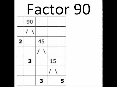 Factor A 90