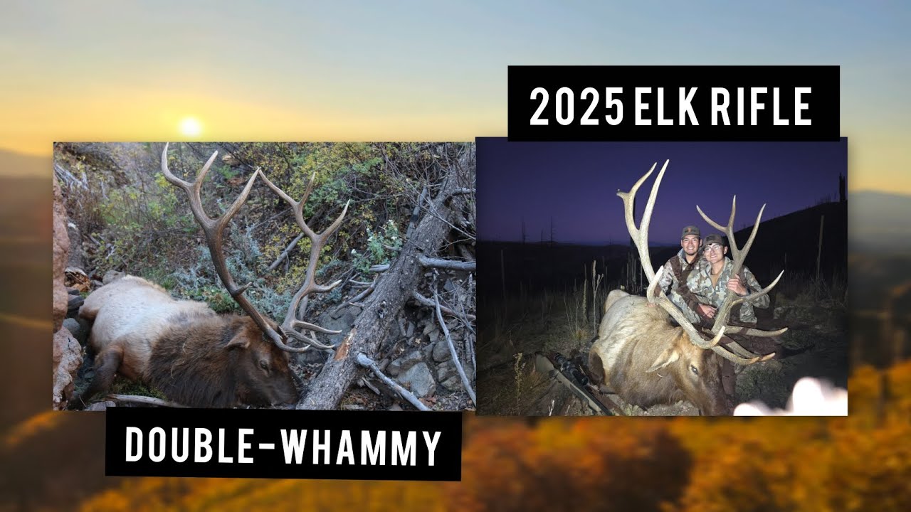 2025 NM Elk Rifle Hunt Double-Whammy