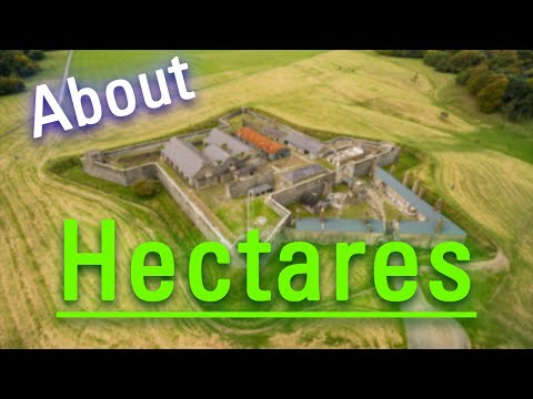 How to Say Hectares in English? | How Do Hectares Look? | What are Hectares?