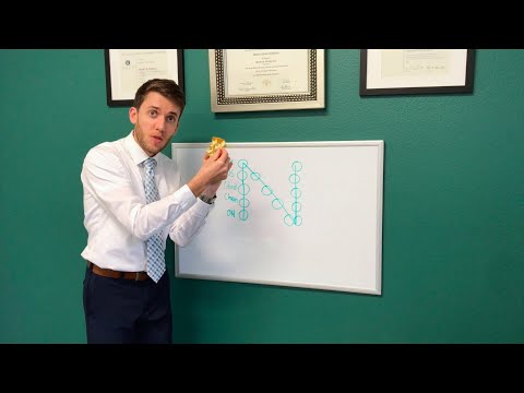 N Diagram of Health l New Spring Chiropractic Palm Coast FL