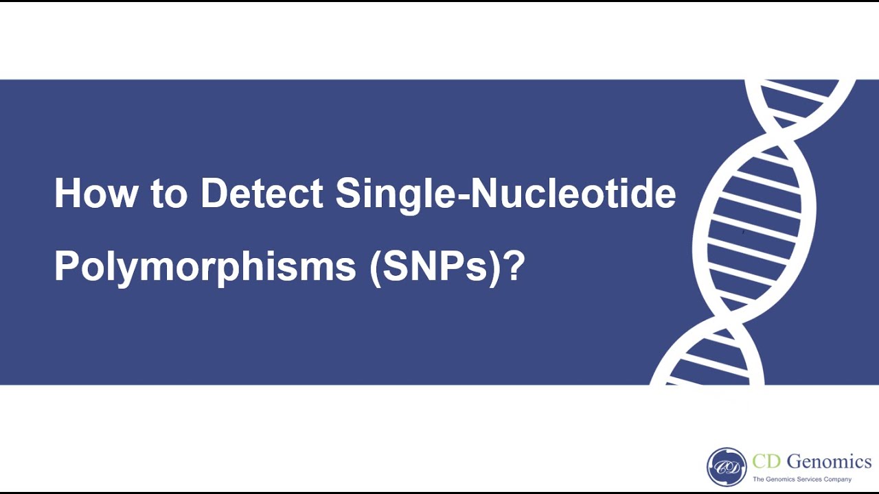 What is single-nucleotide polymorphism and how to detect it?