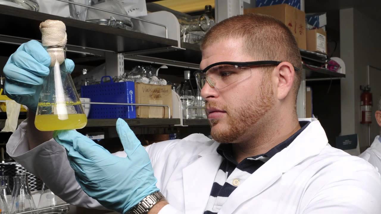 UNCW M.S. Biology and Marine Biology