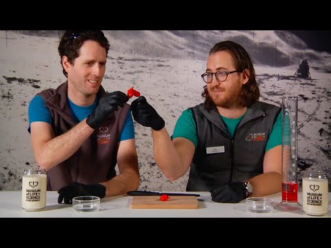 Scoville science and the hottest pepper in the world!
