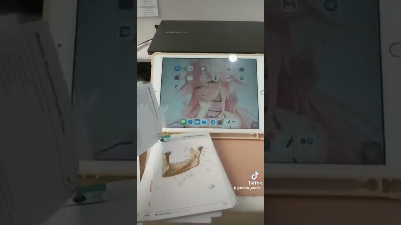 Frank Netter's Anatomy Flash Cards💕