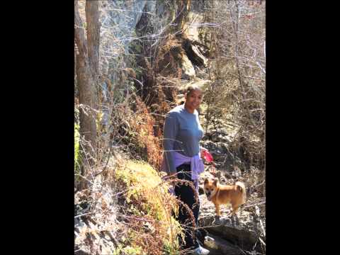 Monique Rathbun | Moving On Up a Little Higher