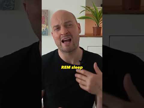 The SLEEP stages