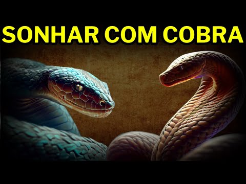Sonhar Com Cobra - Significado dos Sonhos