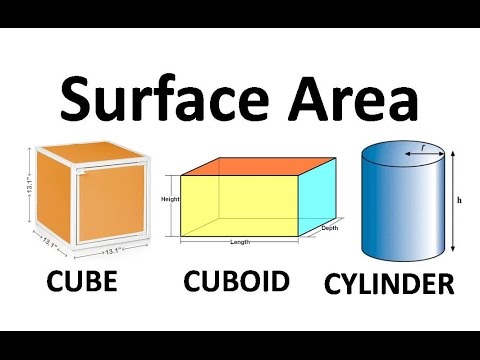 Surface Area of Common 3D Shapes Video Lecture - Mathematics (Maths ...