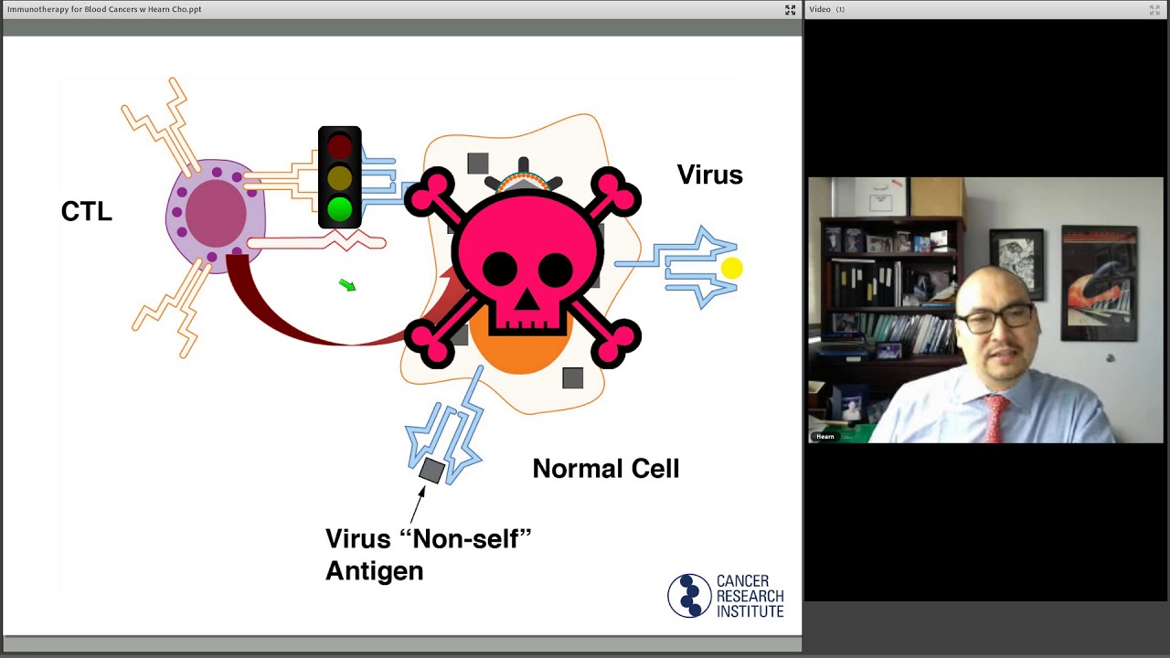 Immunotherapy for Blood Cancers: Updates from the Field, with Hearn Jay Cho, M.D., Ph.D.