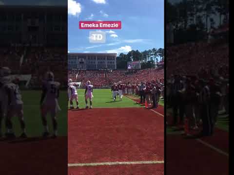 NCSU vs UVA: Emezie Touchdown