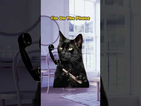 CAT MEME: Hi Mom hehe