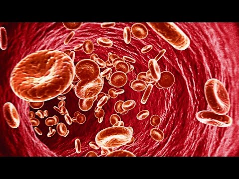 What Are Blood Types?